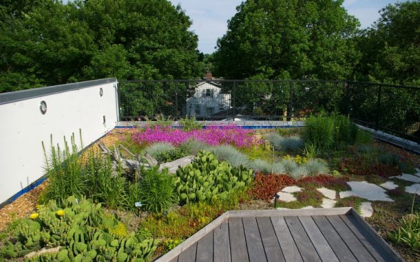 Sustainable Landscaping Using the SITES Framework