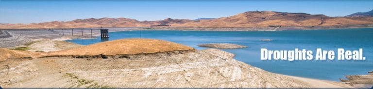 lake | Elemental Green