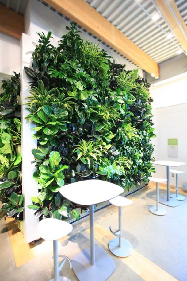 LiveWall Living Walls for Houses