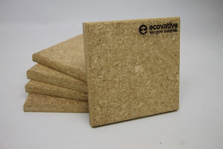 10 Eco Building Materials Revolutionizing Home Construction