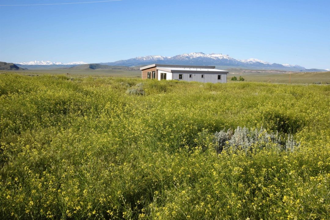 sage+044-1 | Elemental Green