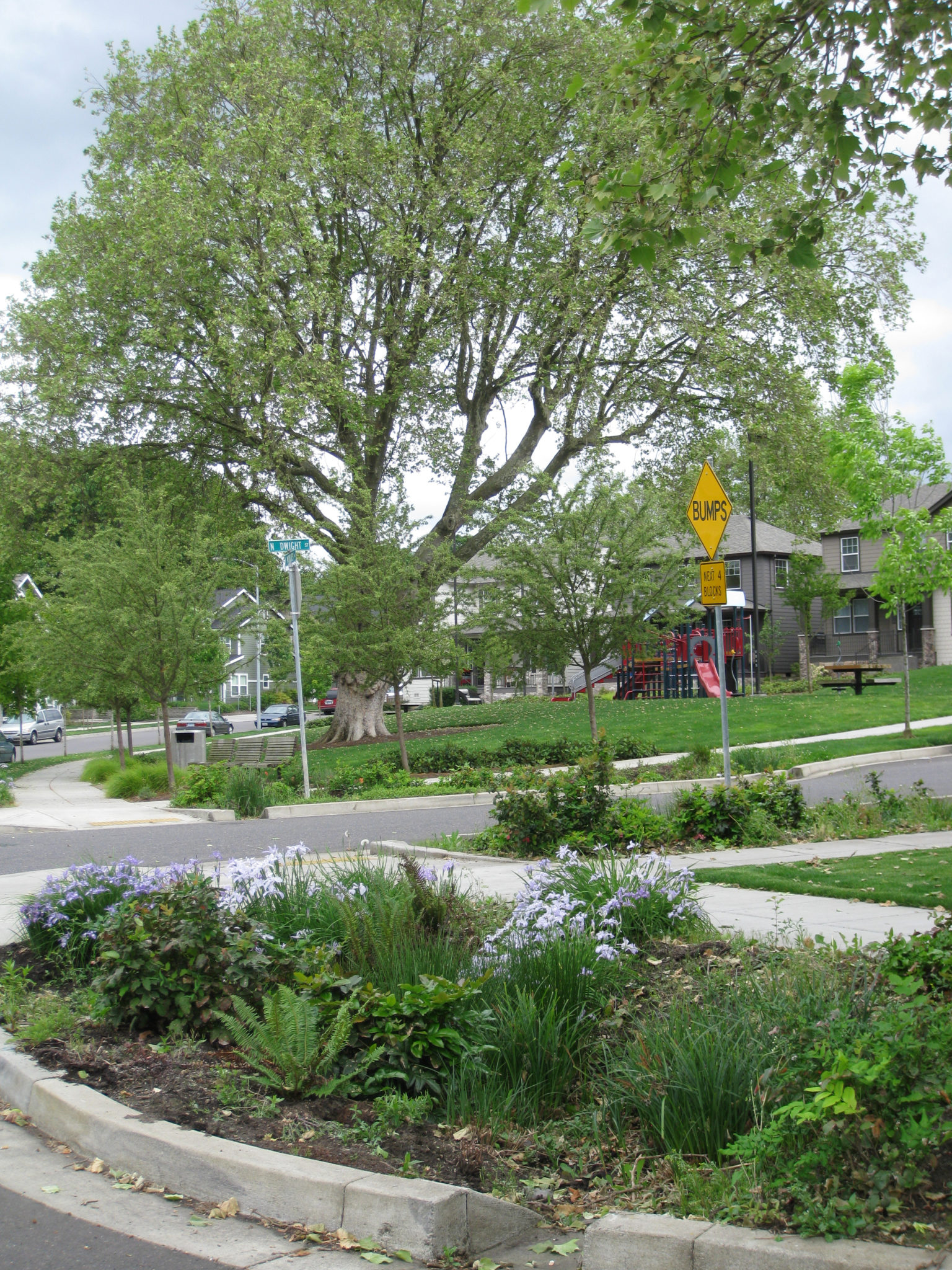 Swales Are Swell: Do You Need One in Your Landscaping?