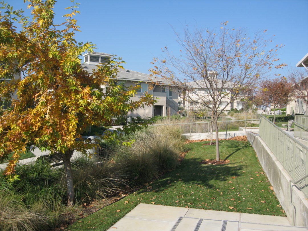 Swales Are Swell: Do You Need One in Your Landscaping?