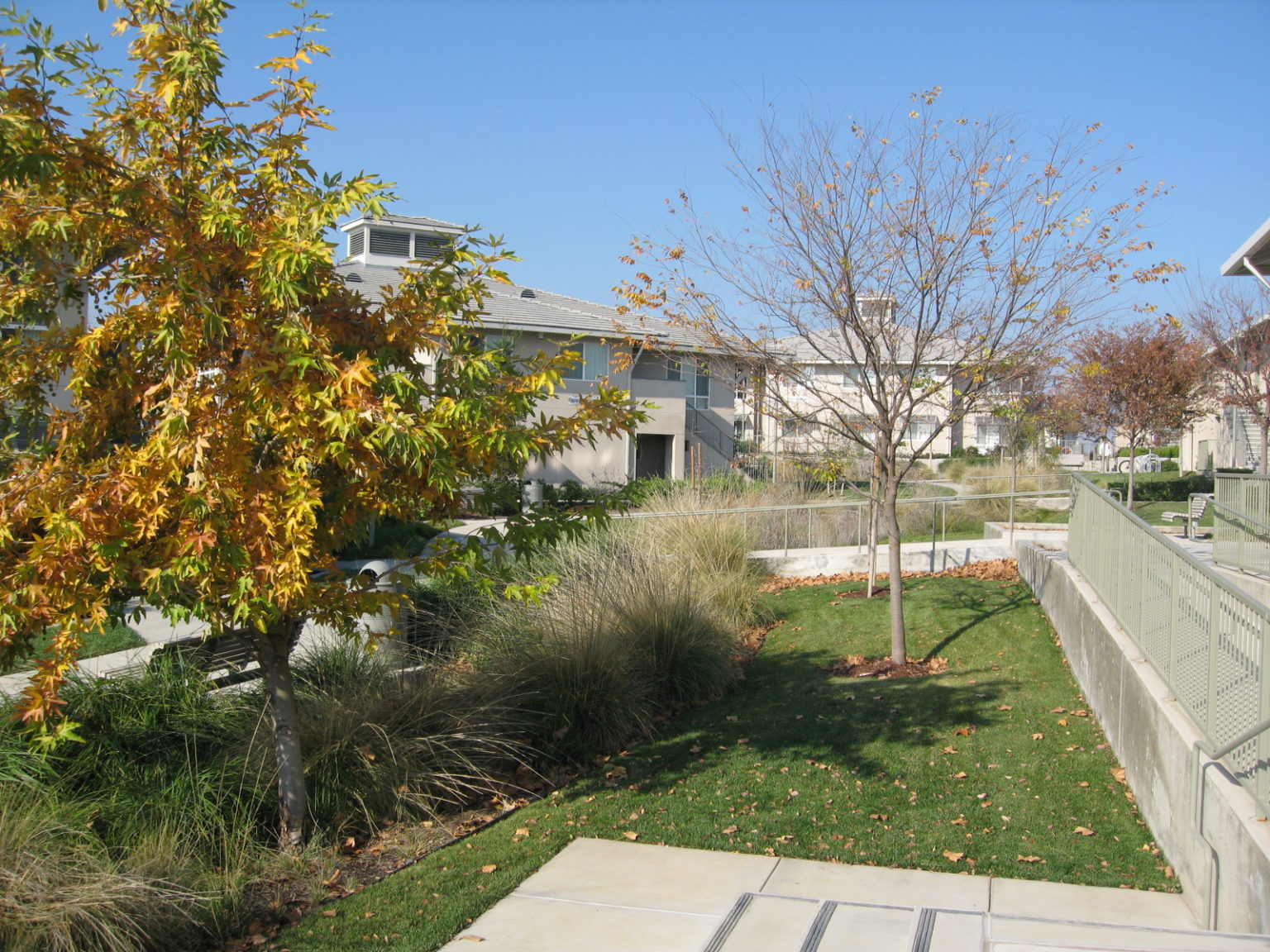 Swales Are Swell: Do You Need One in Your Landscaping?