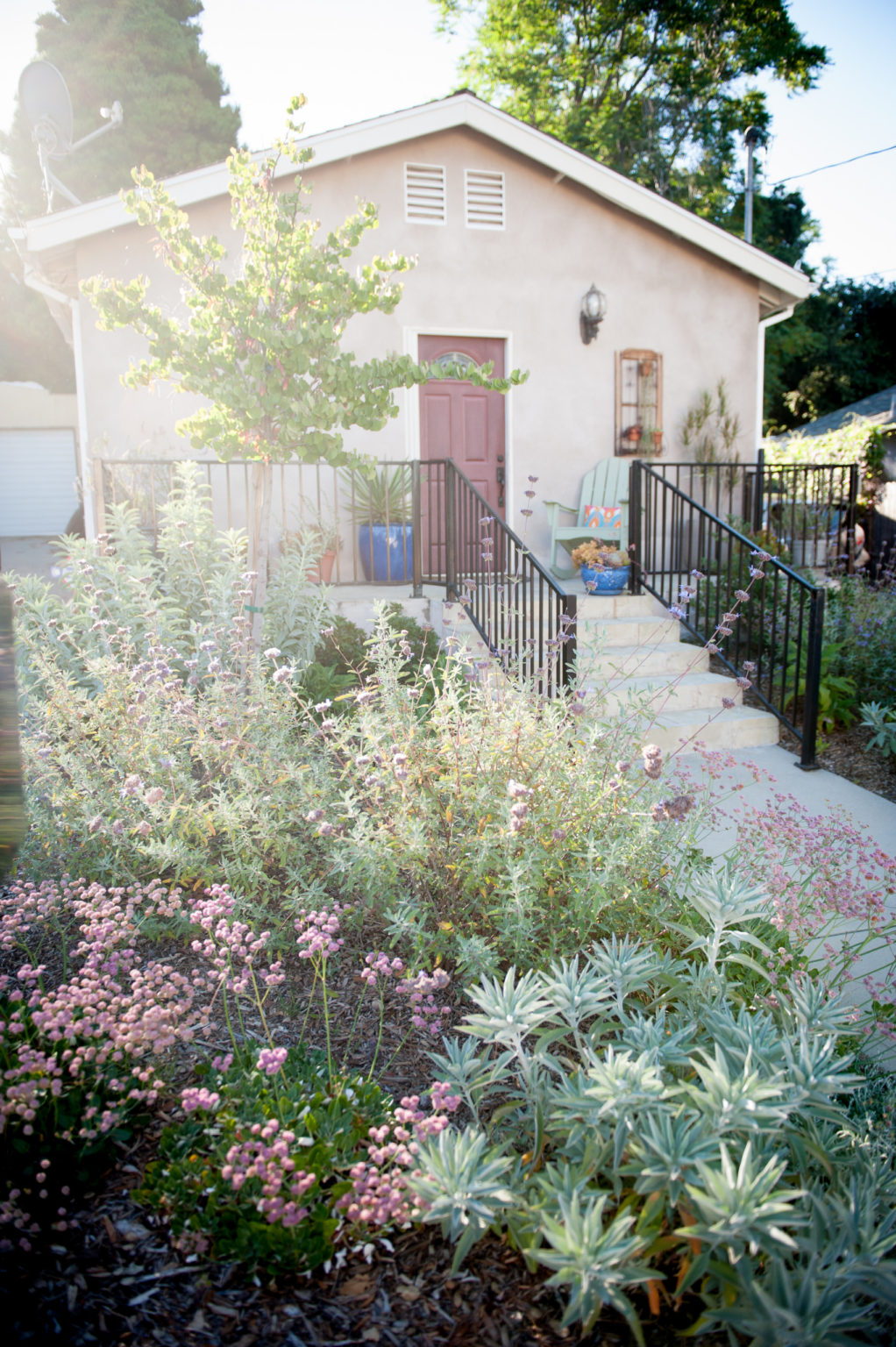 Can Fire Resistant Landscaping Save Your Home from Wildfire?