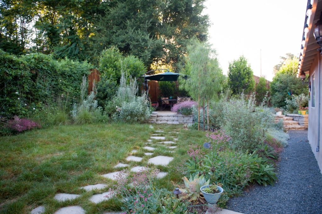 Can Fire Resistant Landscaping Save Your Home from Wildfire?