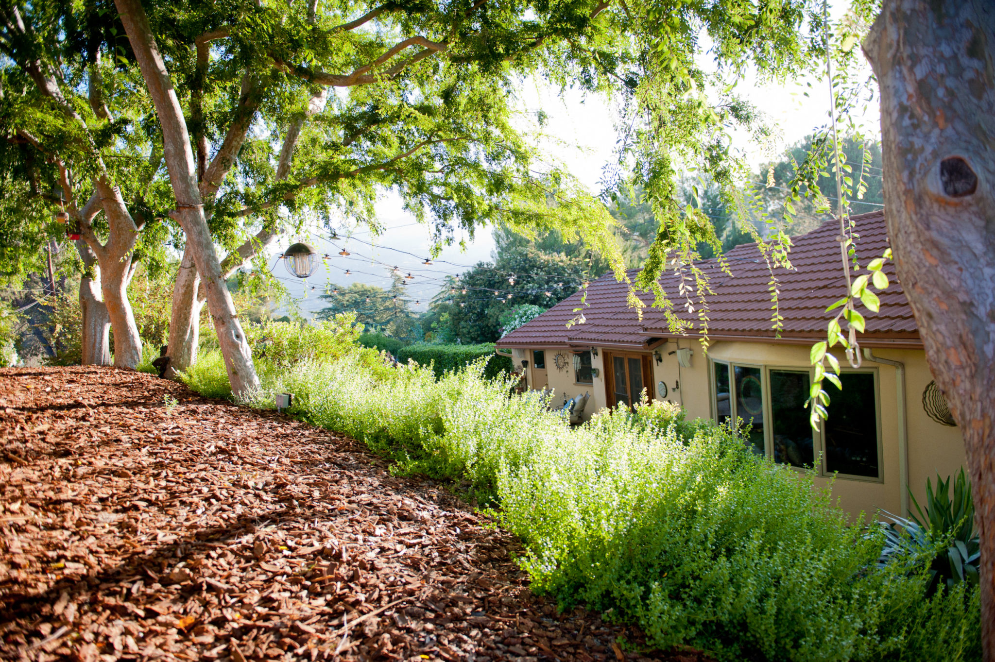 Can Fire Resistant Landscaping Save Your Home from Wildfire?