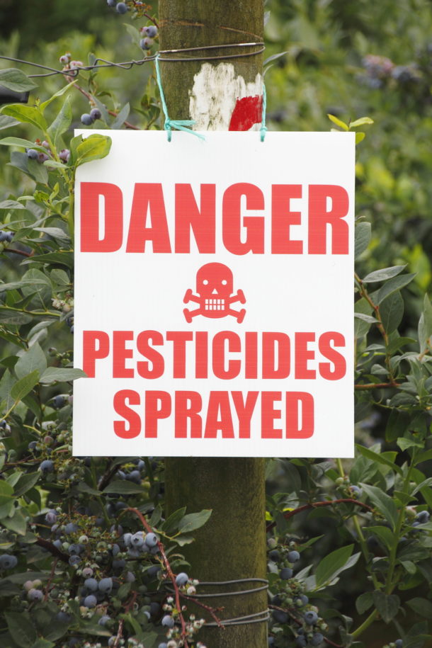 Nontoxic, Natural Pest Control for a Healthier Home & Planet
