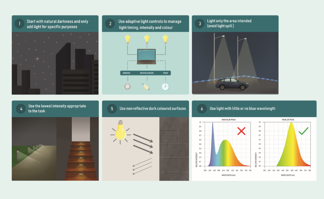 Six Best Practice Lighting Principles 23May22 | Elemental Green