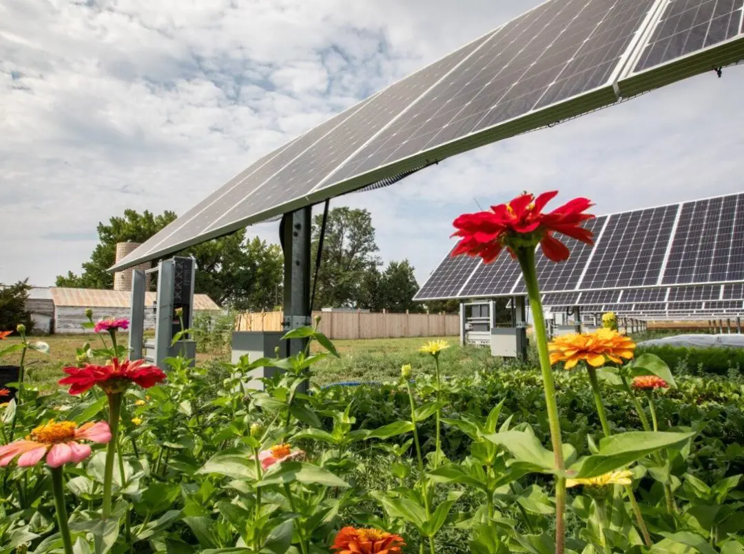 Werner Slocum NREL Jack’s Solar Garden Longmont CO c | Elemental Green